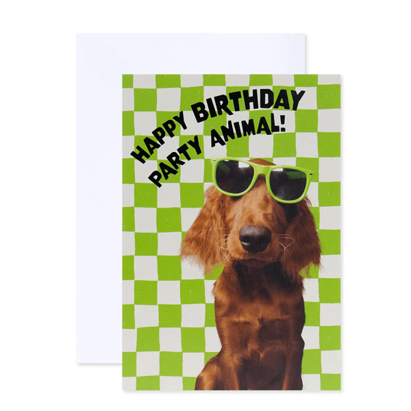Connections from Hallmark Birthday Card - Happy Birthday Party Animal ...