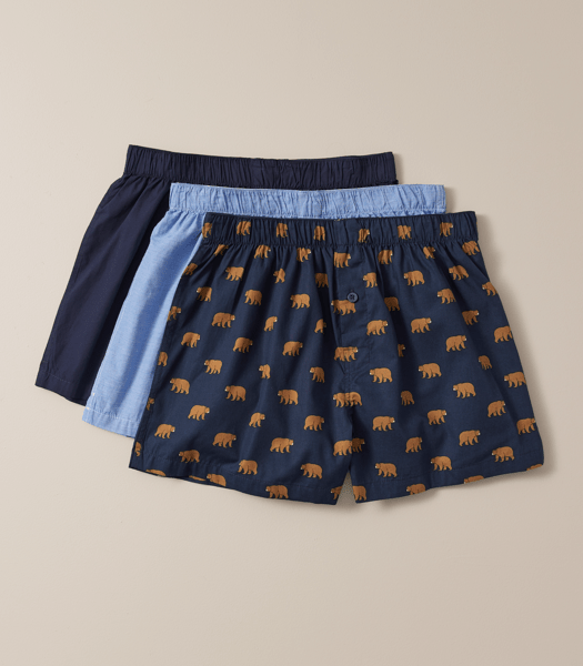 Maxx 3 Pack Woven Boxers | Target Australia