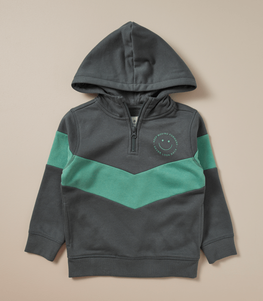 Qtr Zip Hoodie | Target Australia