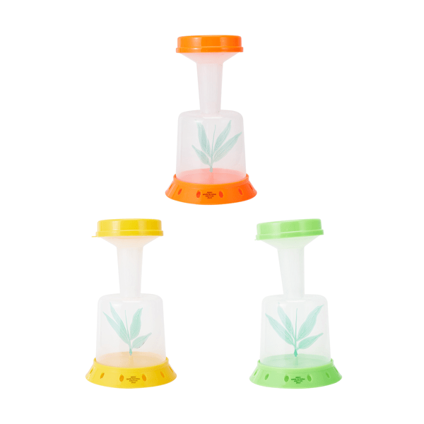 Creeper Keeper, Assorted - Anko | Target Australia