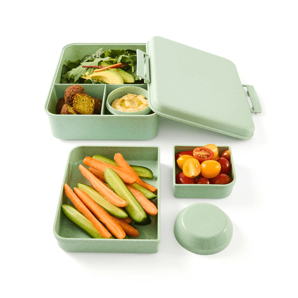 Sage Wheat Straw Bento Snack Box - Anko | Target Australia