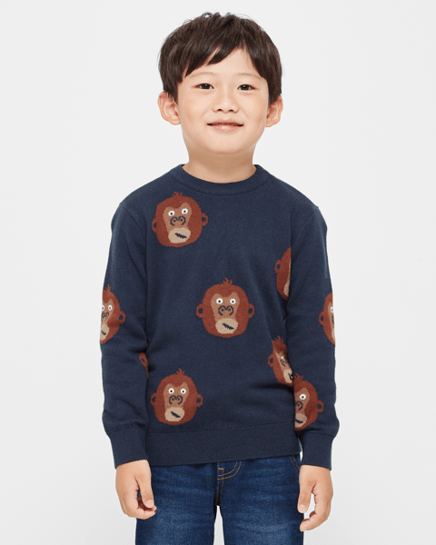 Monkey Intarsia Knit Jumper | Target Australia