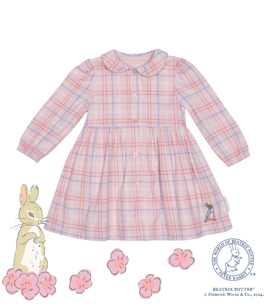 Peter Rabbit Check Flannel Dress | Target Australia