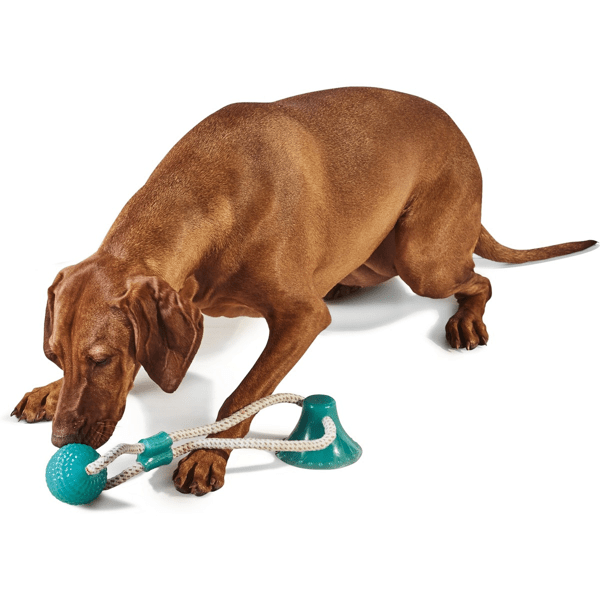 Pet Toy Floor Tug - Anko | Target Australia
