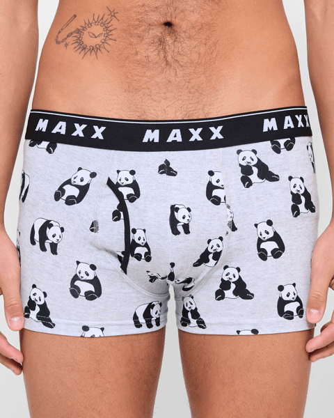 Single Flyfront Trunks - Maxx | Target Australia