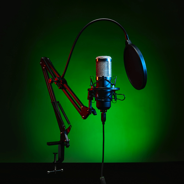 Professional Gaming Microphone - Anko | Target Australia