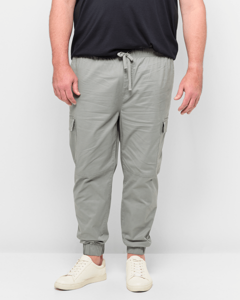Plus Size Panel Cargo Jogger Pants - Storm Grey | Target Australia
