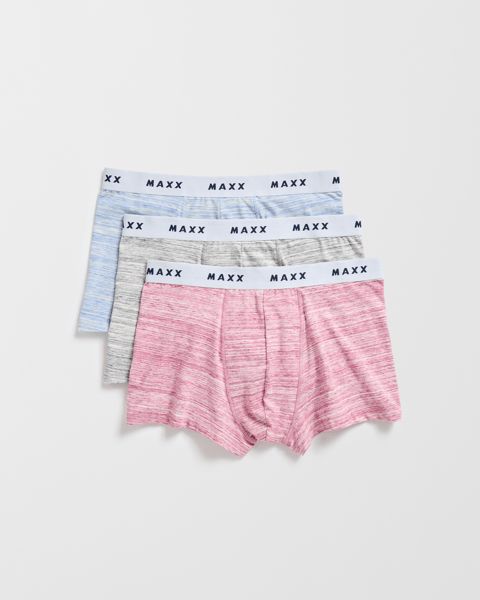 Maxx 3 Pack Hipster Trunks | Target Australia