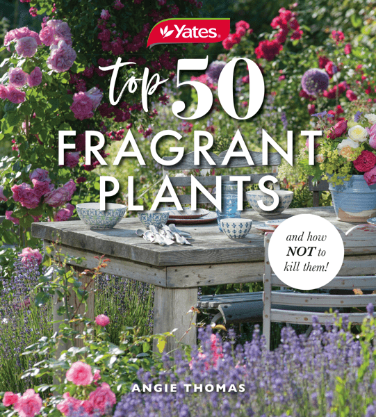 Yates Top 50 Fragrant Plants - Angie/Yates Thomas | Target Australia