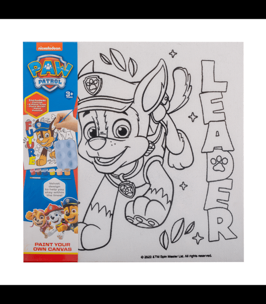 Paw Patrol Paint Your Own Canvas 20 x 20cm | Target Australia