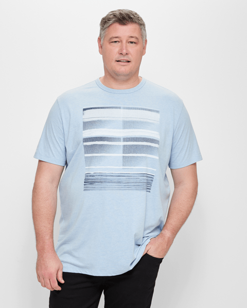 Plus Size Australian Cotton Blend Print T-Shirt | Target Australia