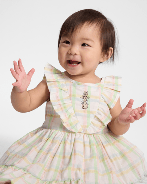 Peter Rabbit Baby Check Ruffle Dress | Target Australia