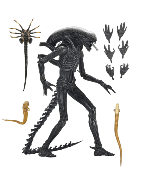 NECA - Alien Romulus Xenomorph XX121 Ultimate 7 Inch Scale Action ...