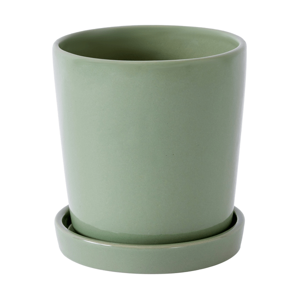 Plant Pot with Saucer, Green - Anko | Target Australia