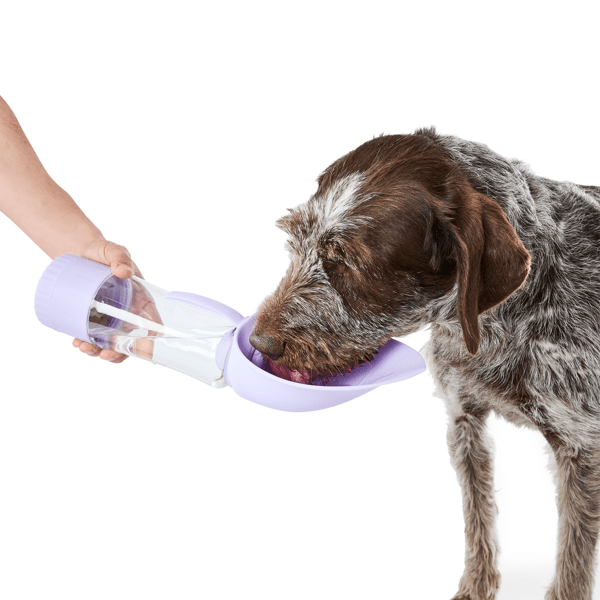 Pet Travel Bottle with Treat Holder, Lilac - Anko | Target Australia