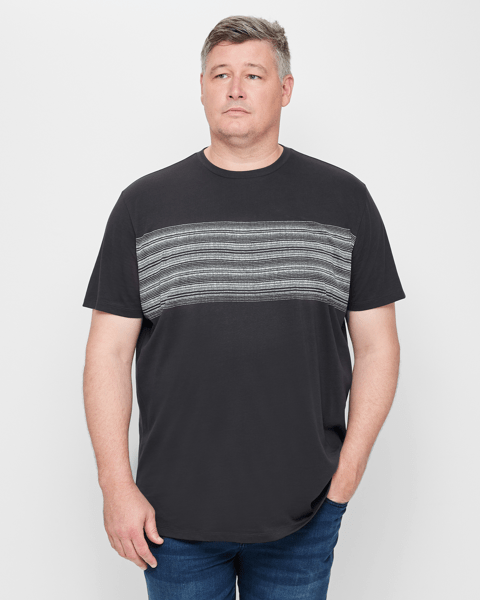 Plus Print Panel T-Shirt | Target Australia