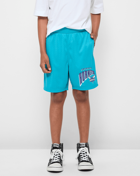 NBA Team Mesh Basketball Shorts | Target Australia
