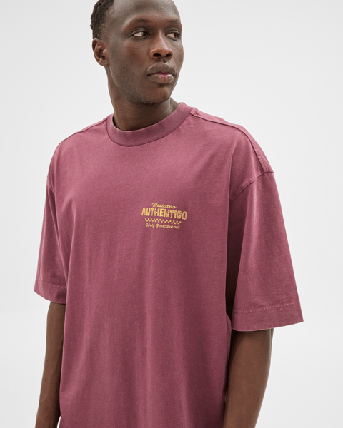 Australian Cotton Graphic T-Shirt - Commons - Maroon | Target Australia