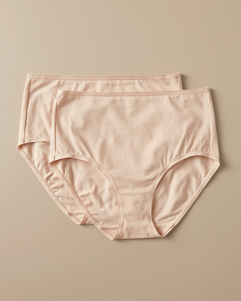2 Pack Everyday Cotton Full Briefs; Style: LFB30307 | Target Australia