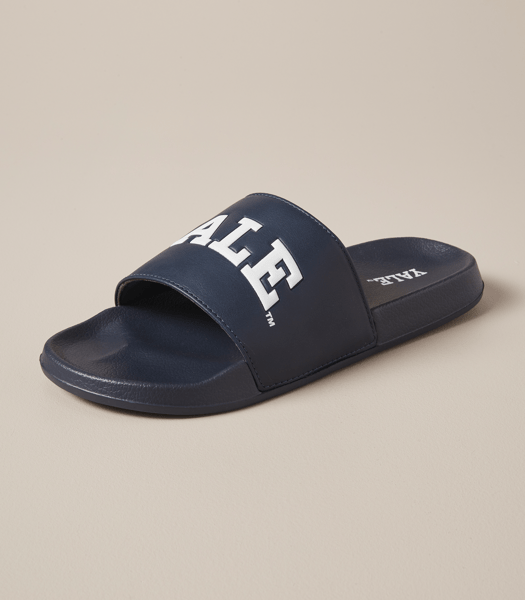Licensed Yale™ University Slides | Target Australia