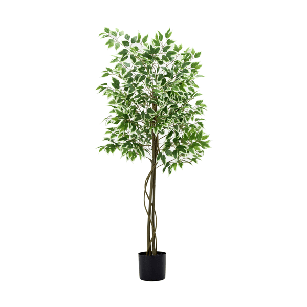 Tall Artificial Ficus Tree - Anko | Target Australia
