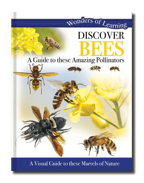 Wonders Of Learning - Discover Bees | Target Australia