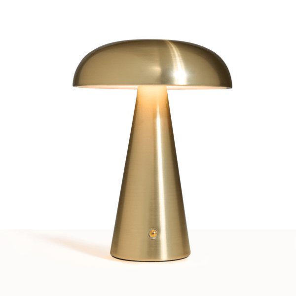 Amiri Portable Re-chargeable Lamp - Anko | Target Australia