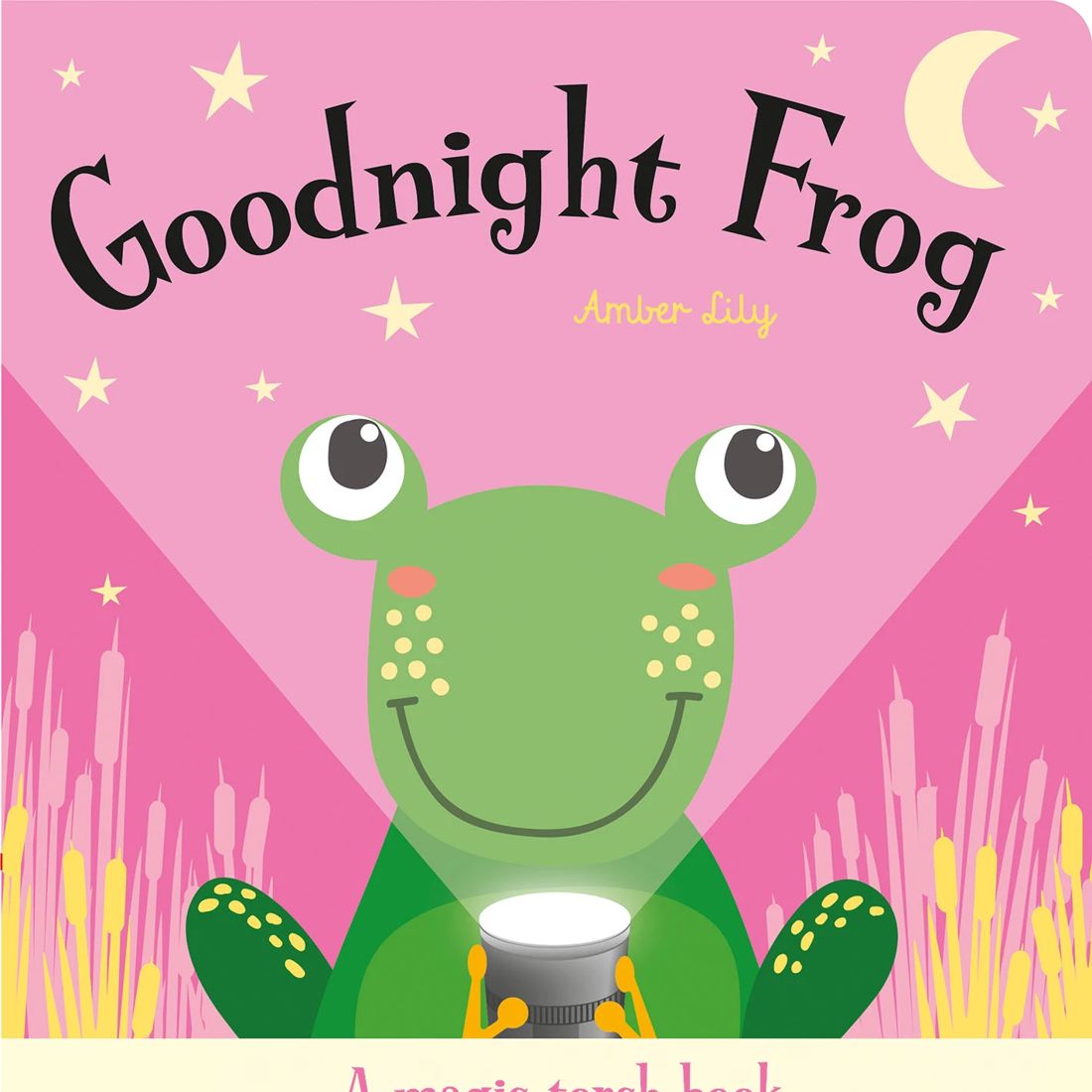 Magic Torch Books: Goodnight Frog - Joshua George | Target Australia