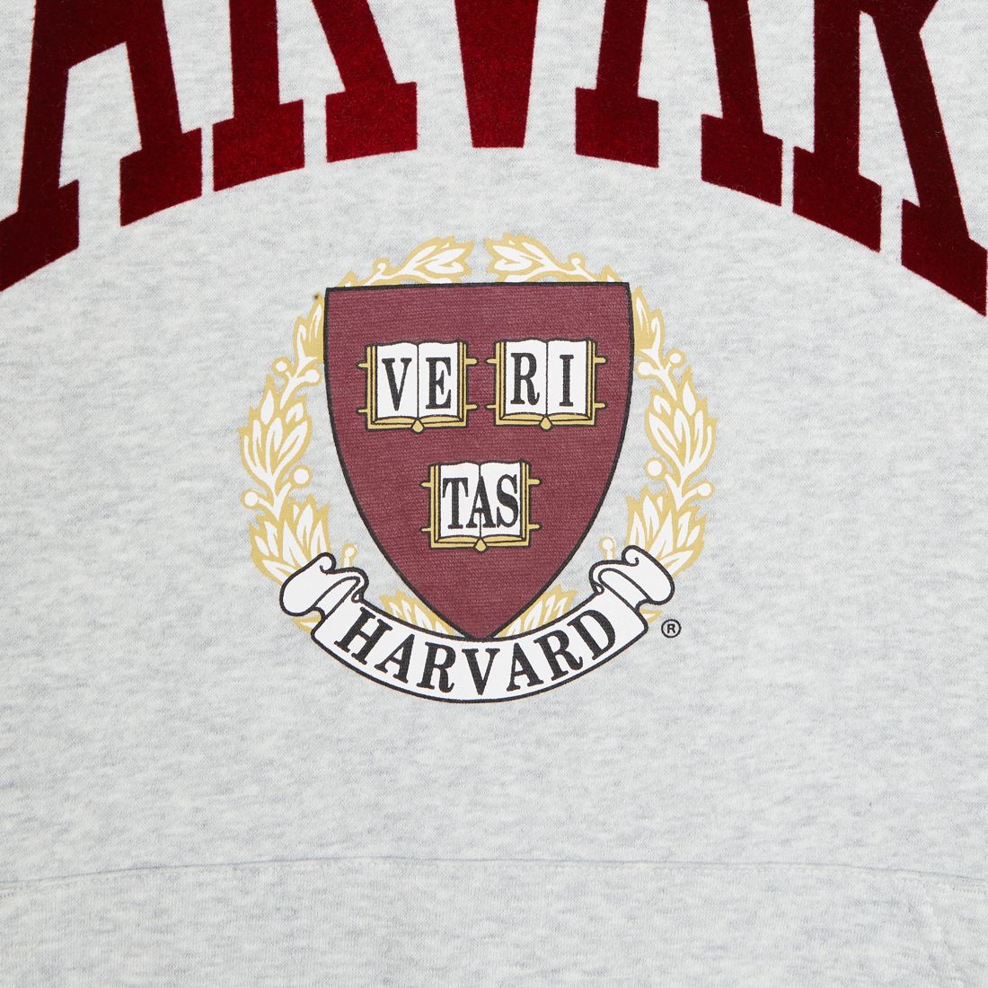 Harvard Print Hoodie | Target Australia