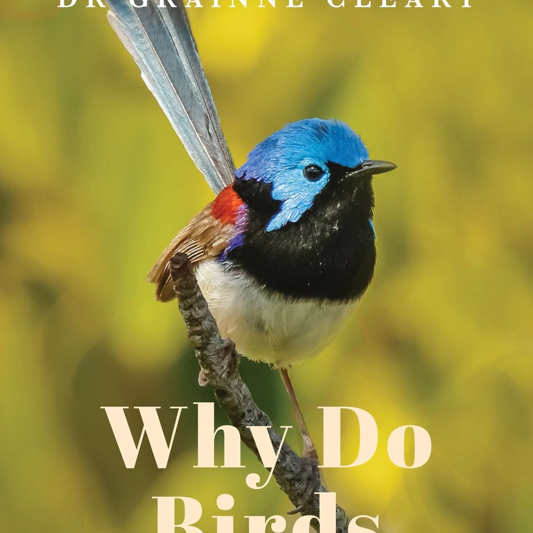 Why Do Birds Do That? - Dr Grainne Cleary | Target Australia