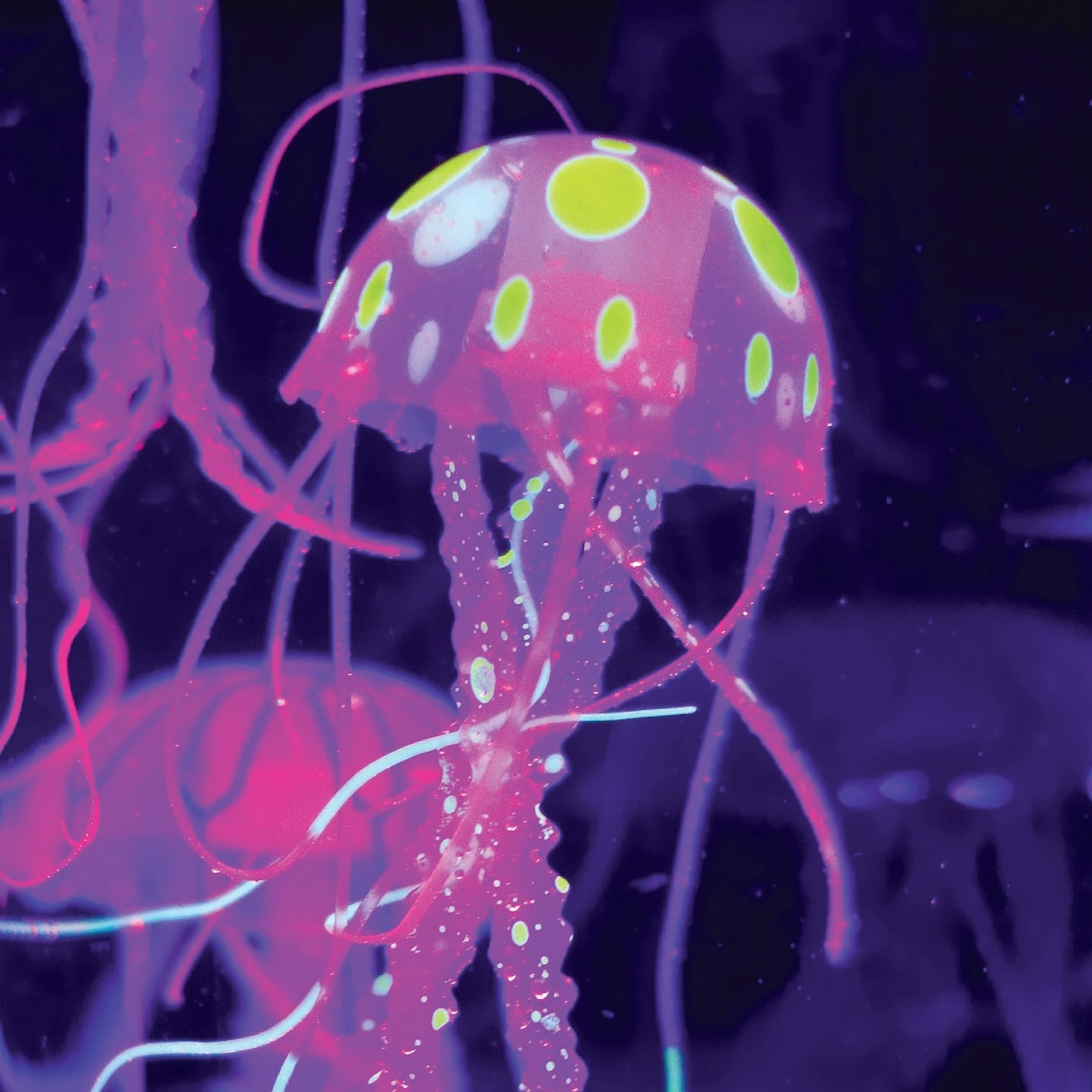 STEM Discovery #Mindblown Jellyfish Aquarium Colour-Morphing Light with ... STEM Discovery #Mindblown Jellyfish Aquarium Colour-Morphing Light with ...