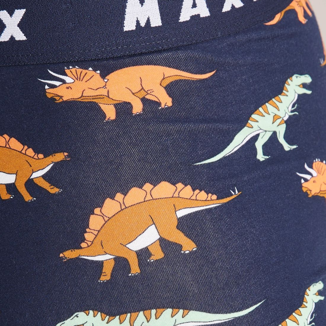 Maxx Flyfront Trunks - Dinosaur | Target Australia