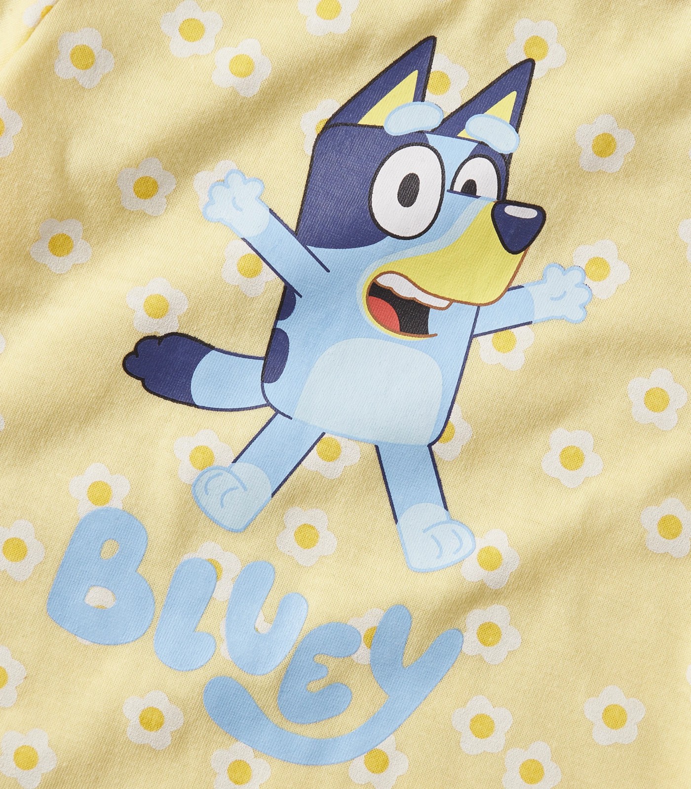 Bluey Sleep Nightie | Target Australia