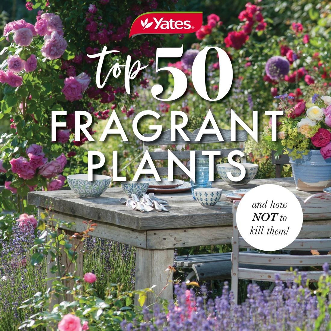 Yates Top 50 Fragrant Plants - Angie/Yates Thomas | Target Australia