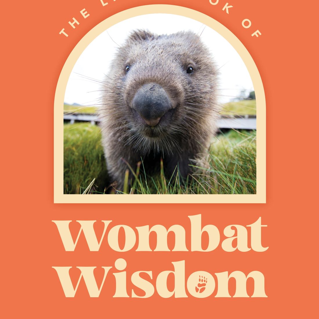 Little Book Of Wombat Wisdom | Target Australia